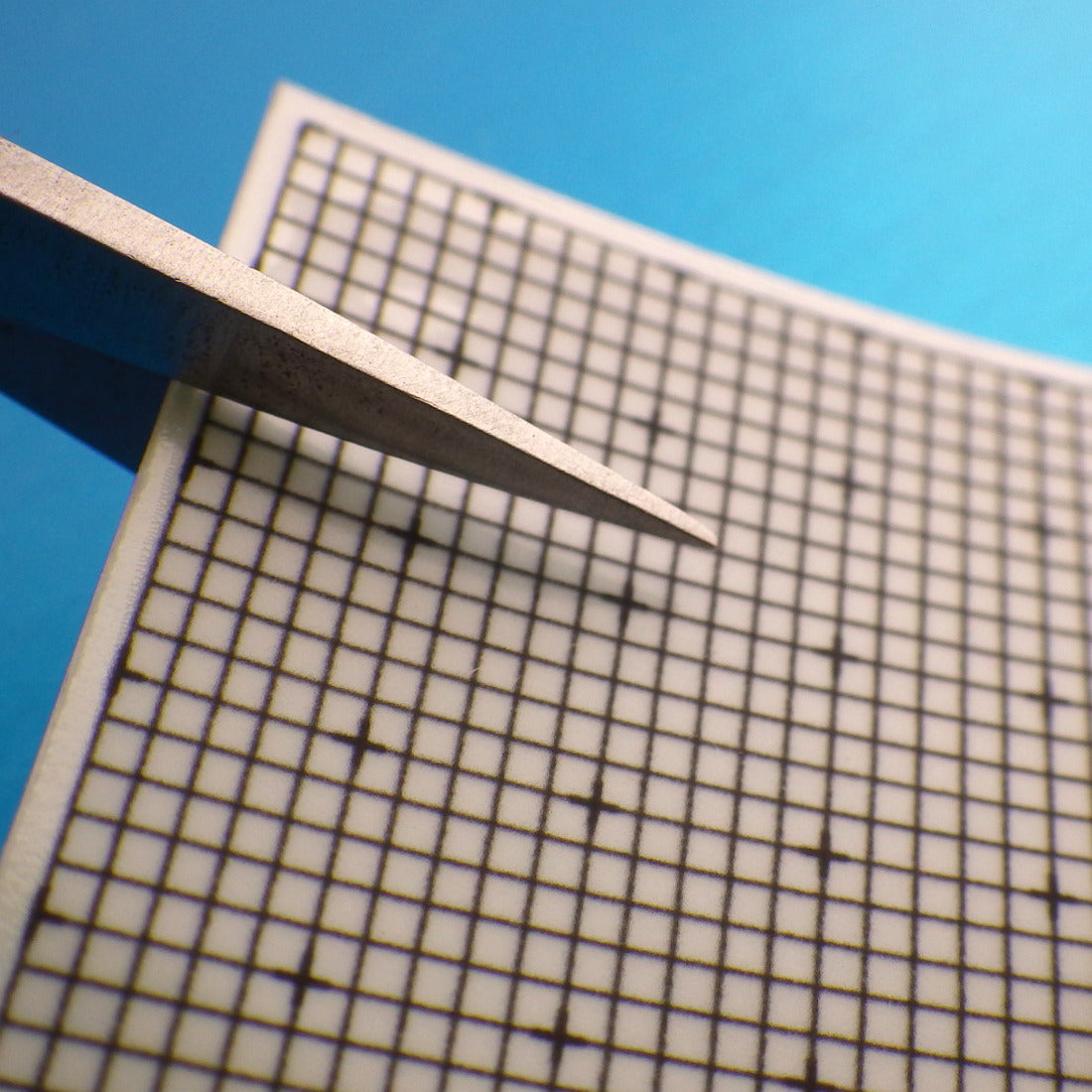 GUNPRIMER - CUSTOM GUIDE, Transparent (2 Types)